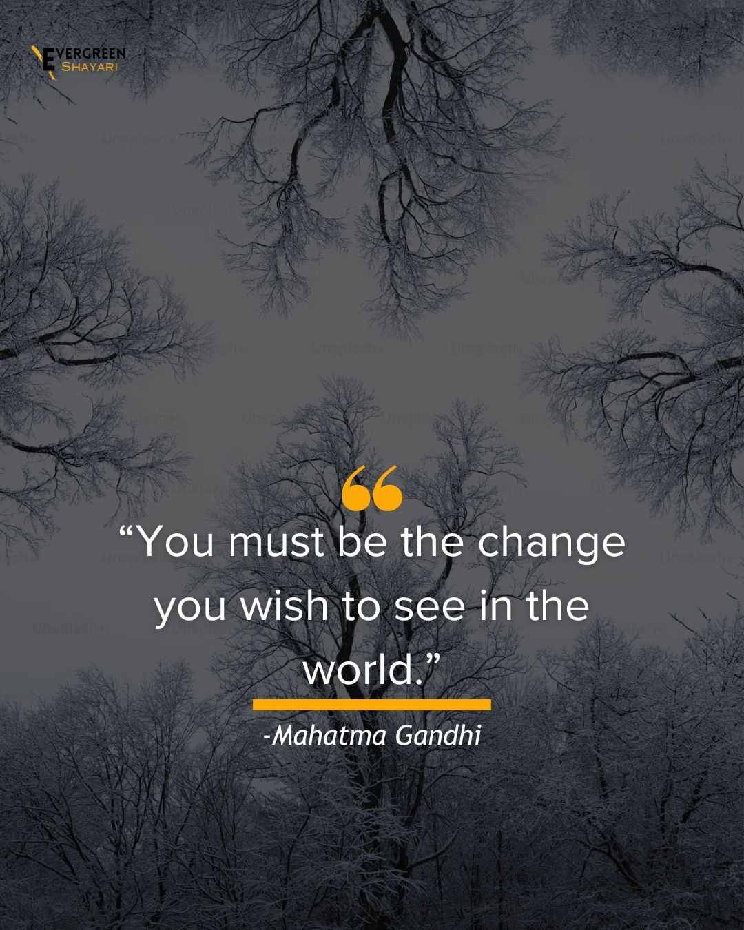 20+ Wise Man Quotes About Success in Life - Evergreen Shayari ...