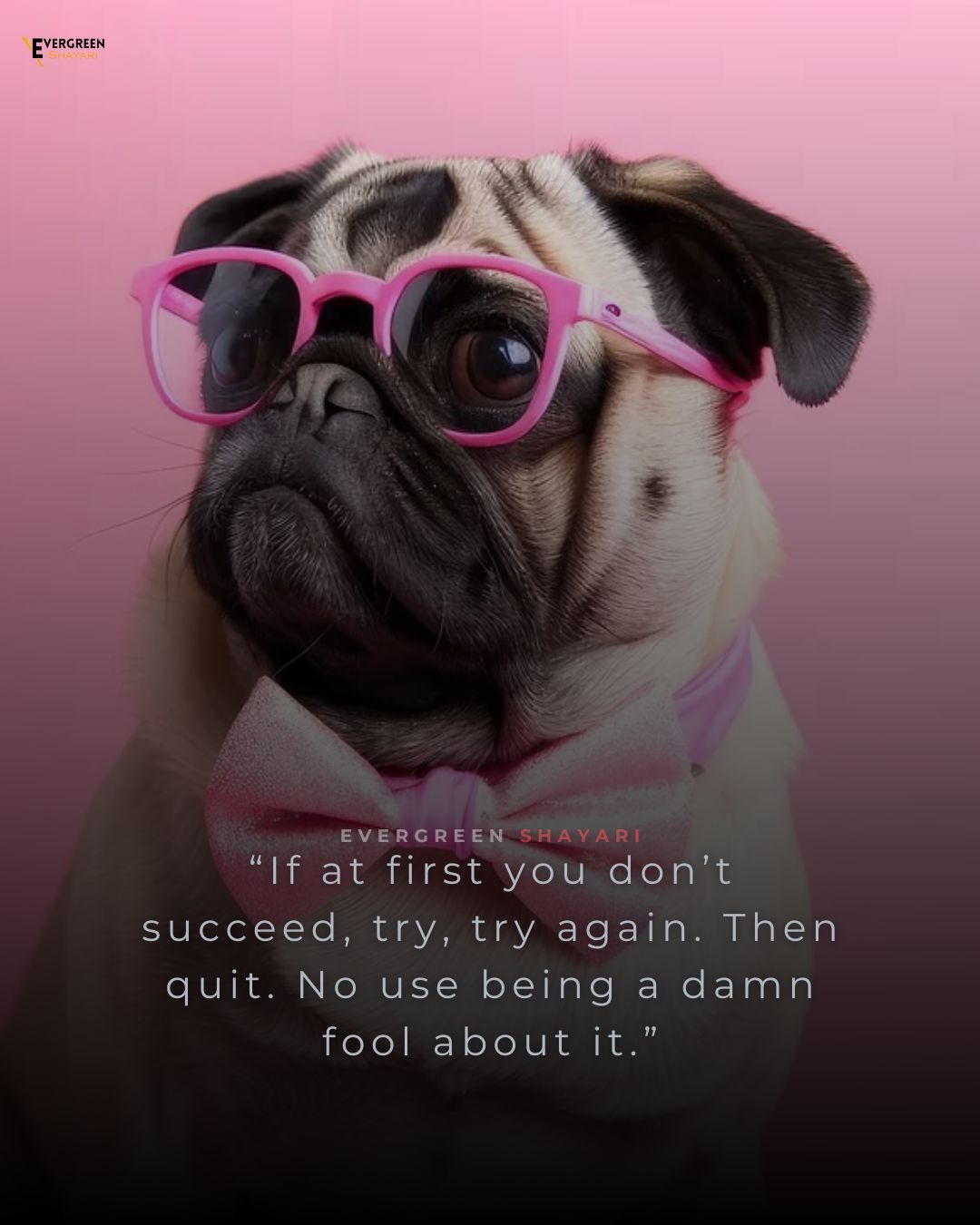 40+ Inspirational Funny Day Quotes And Sayings Laughing So Hard