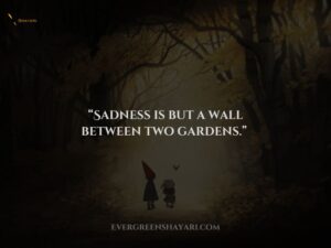 Best 100 Quotes About Sadness and Self-Healing